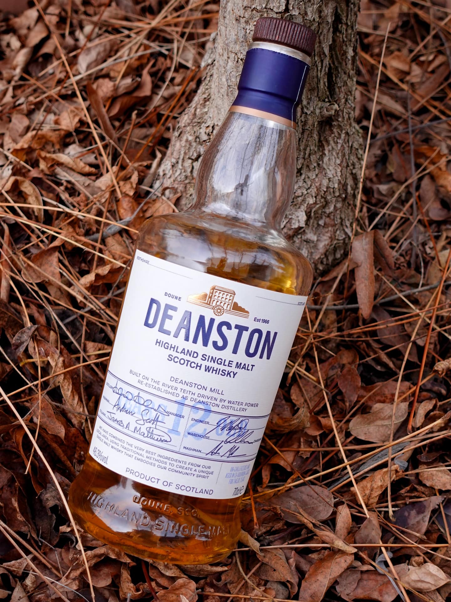 Deanston 12 review - The Road to Dram